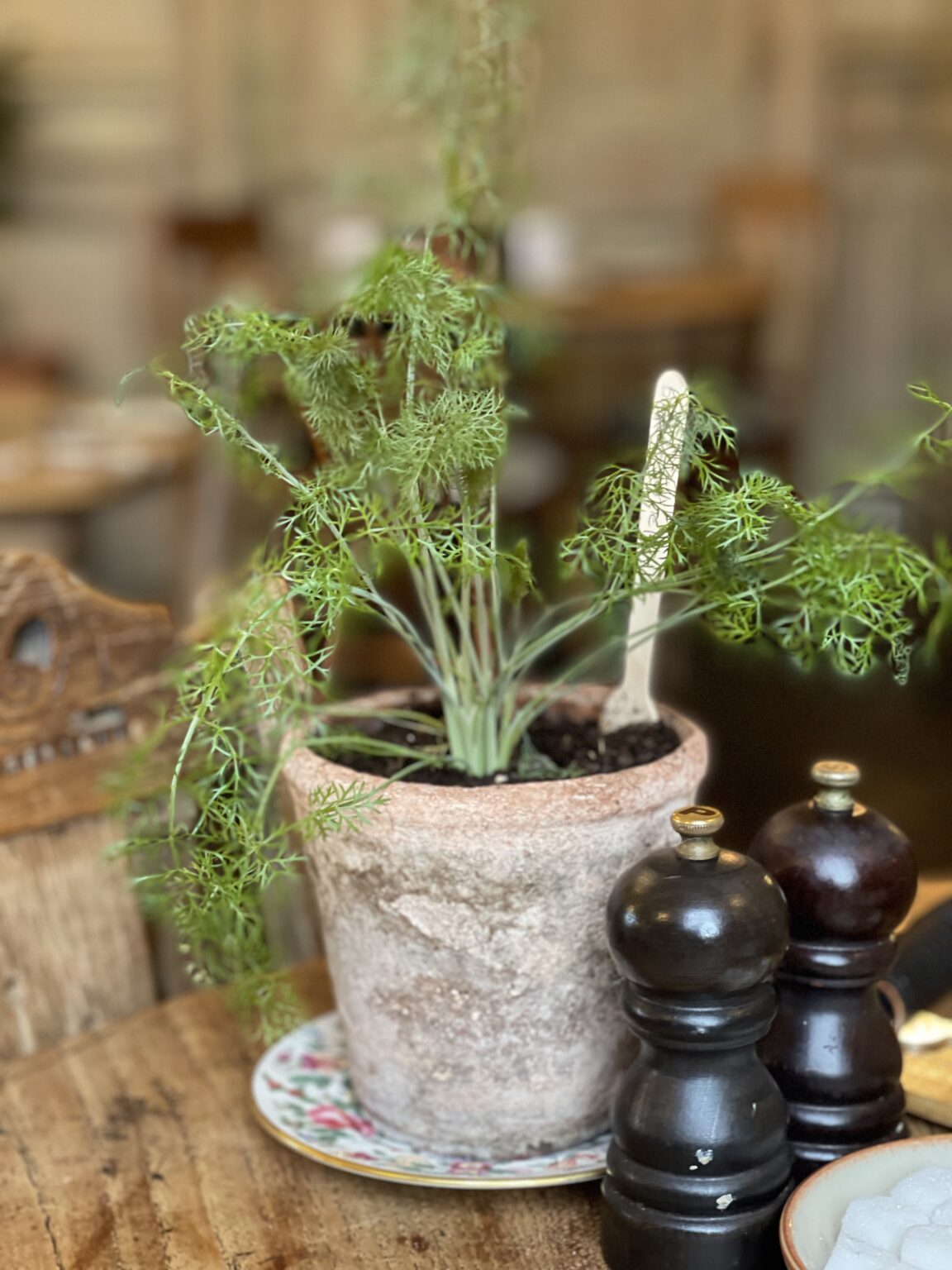 10 Interior Ideas To Steal From The Pig Hotel at Combe, Devon ...